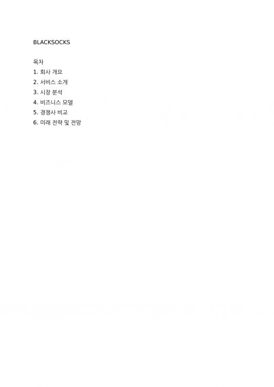 BLACKSOCKS 레포트 자료