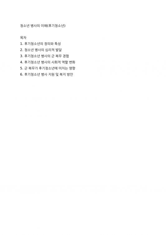 청소년 병사의 이해(후기청소년)