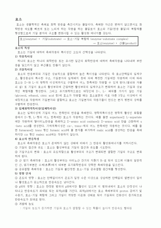 [미생물학] 효소의구조와기능
