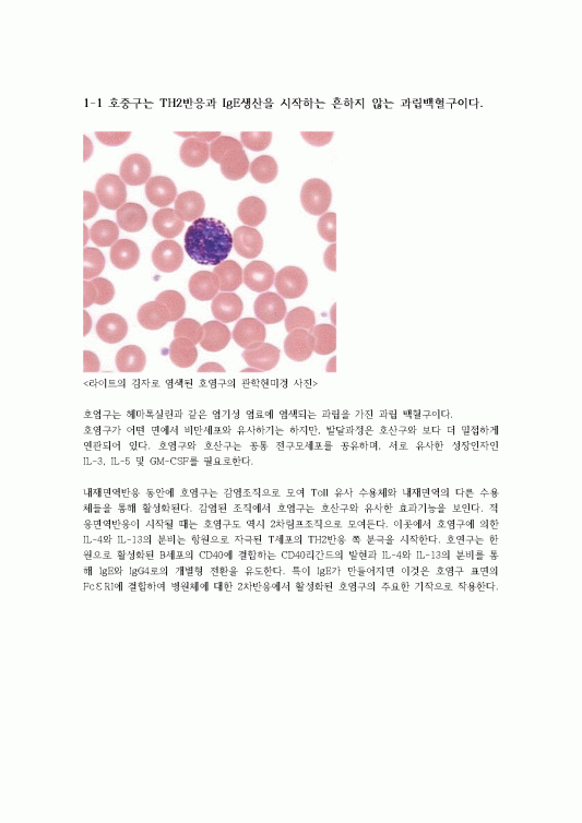 [면역학] 제1형 과민반응