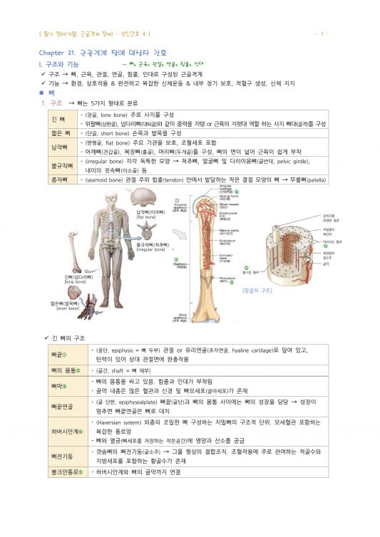 성인간호 - 근골격계 장애 대상자 간호