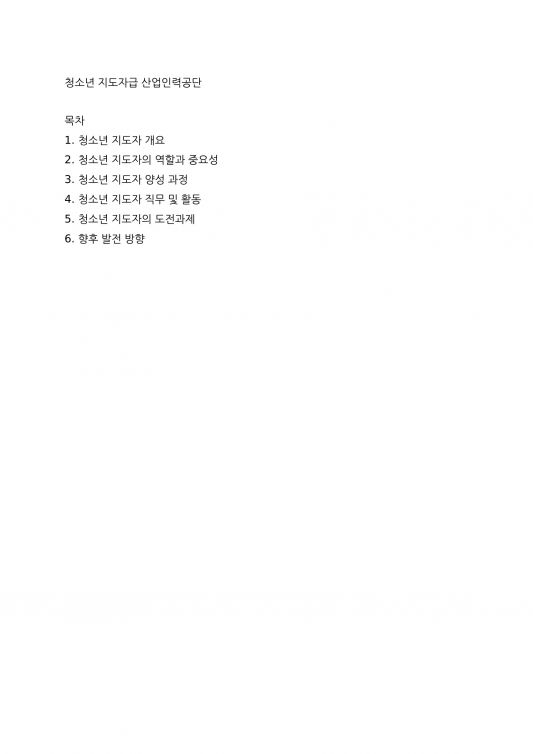 청소년 지도자급 산업인력공단