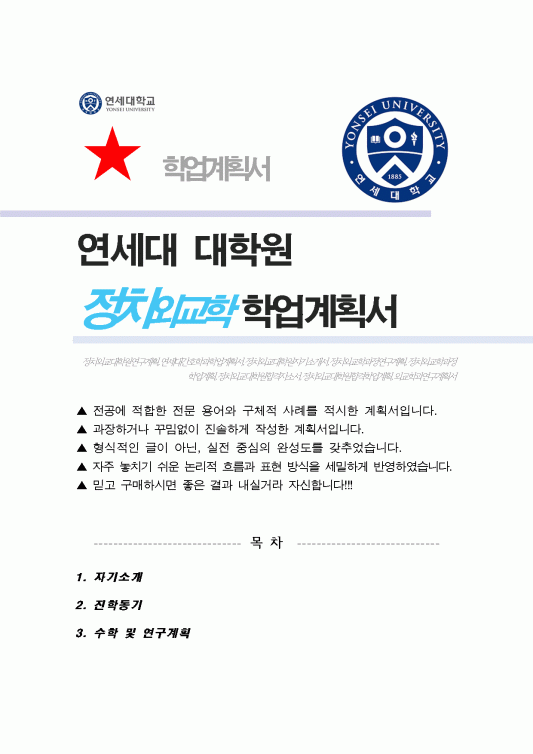 연세대 정치외교학과 대학원 학업계획서