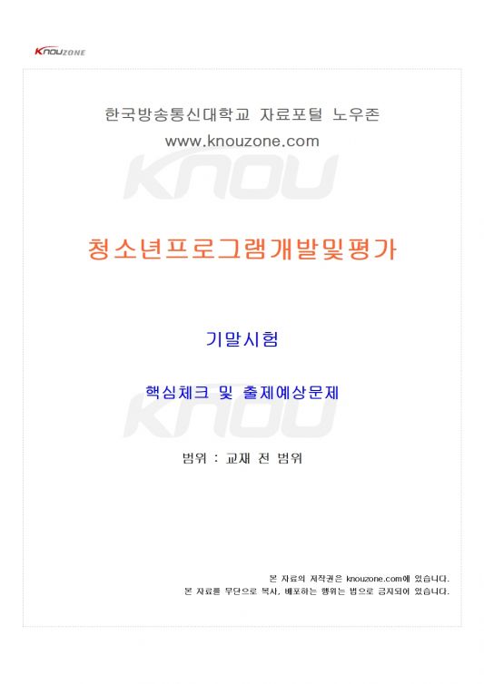 2025년 2학기 청소년프로그램개발및평가 기말시험 핵심체크