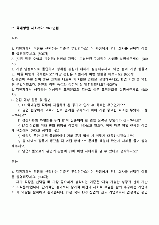 E1 국내영업 자소서와 2025면접