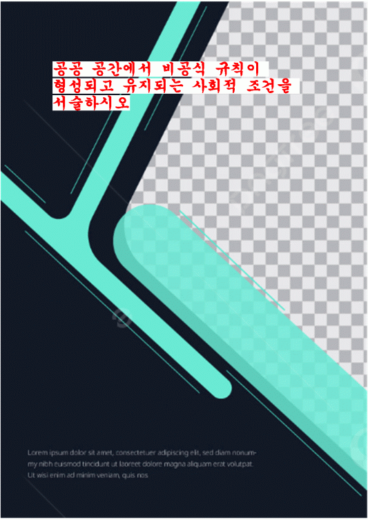 공공 공간에서 비공식 규칙이 형성되고 유지되는 사회적 조건을 서술하시오