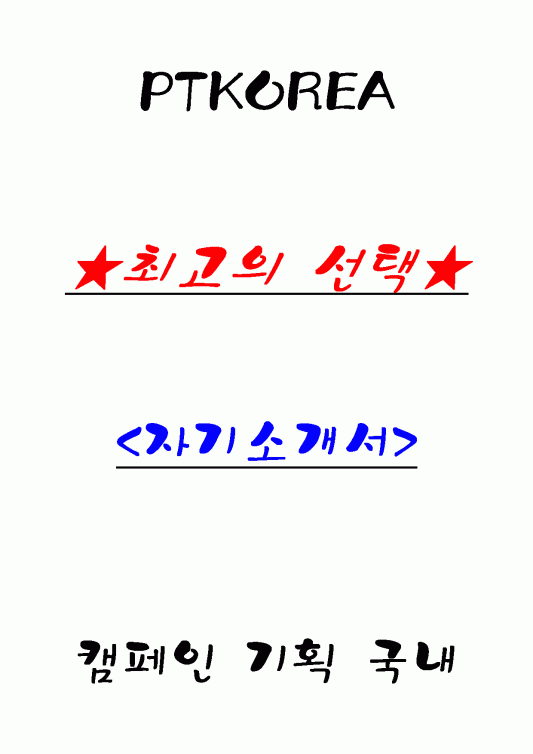 PTKOREA 캠페인 기획 국내 자기소개서