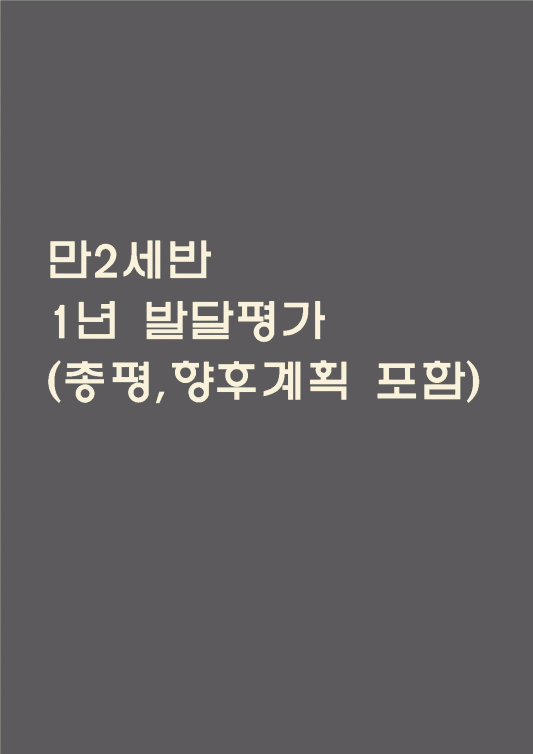 만2세 발달평가 1년 (5개영역 발달평가,1학기2학기 구분된 총평포함)