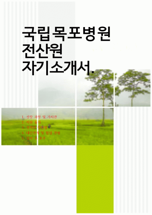 국립목포병원 전산원 자기소개서