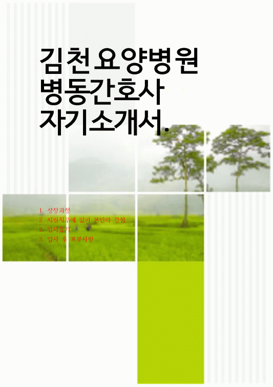 김천요양병원 병동간호사 자기소개서