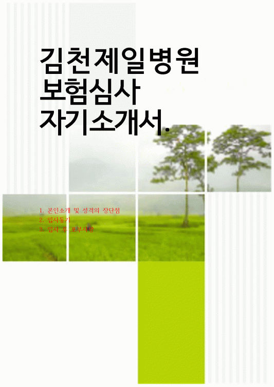 김천제일병원 보험심사 자기소개서