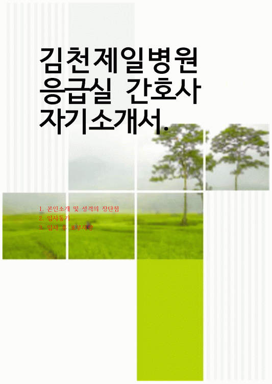 김천제일병원 응급실 간호사 자기소개서