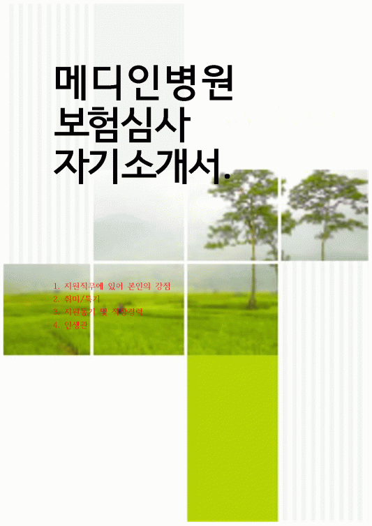 메디인병원 보험심사 자기소개서