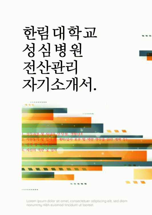 한림대학교 성심병원 전산관리 자기소개서