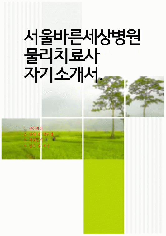 서울바른세상병원 물리치료사 자기소개서