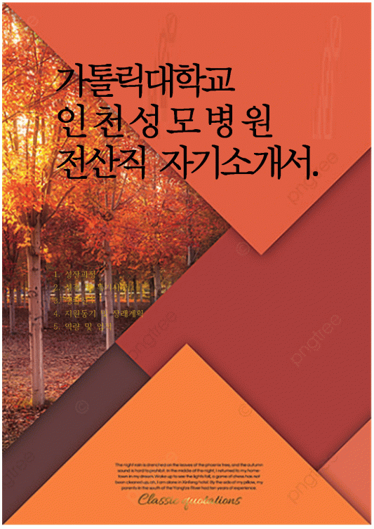 가톨릭대학교 인천성모병원 전산직 자기소개서