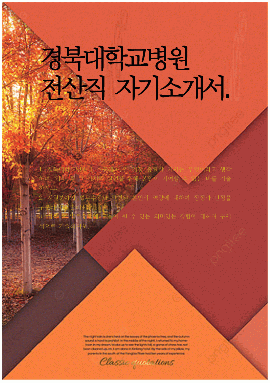 경북대학교병원 전산직 자기소개서