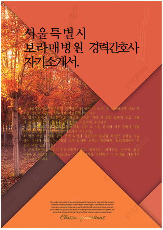 서울특별시 보라매병원 경력간호사 자기소개서