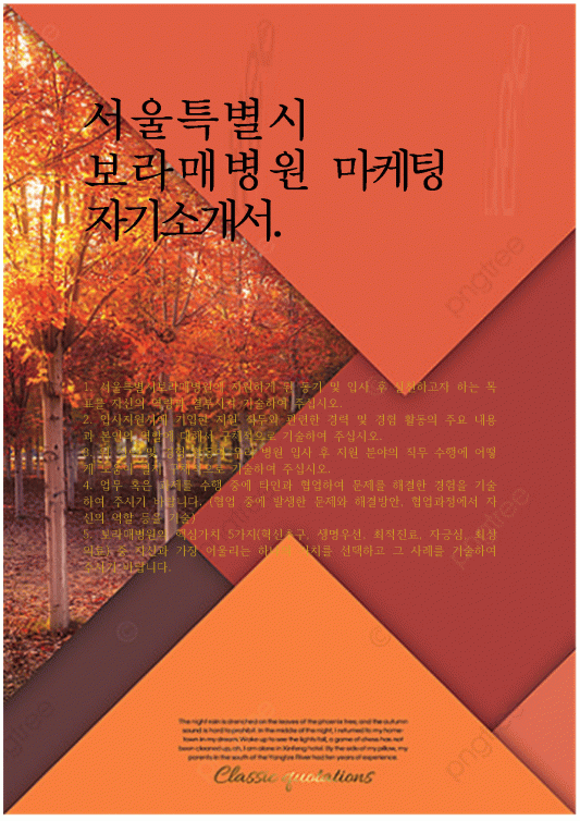 서울특별시 보라매병원 마케팅 자기소개서