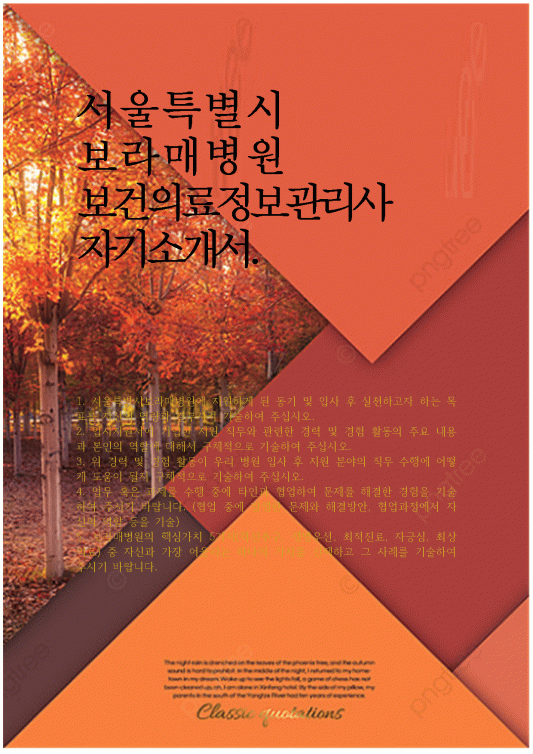 서울특별시 보라매병원 보건의료정보관리사 자기소개서