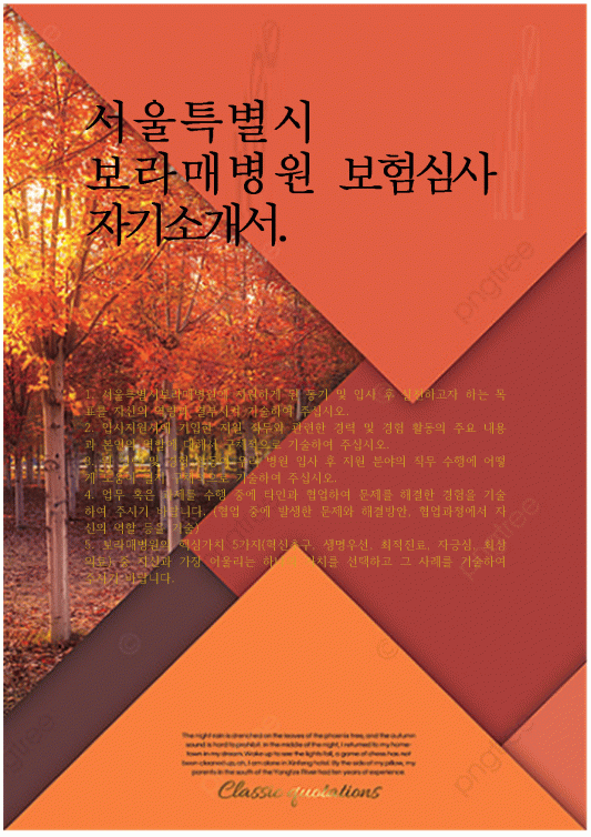 서울특별시 보라매병원 보험심사 자기소개서