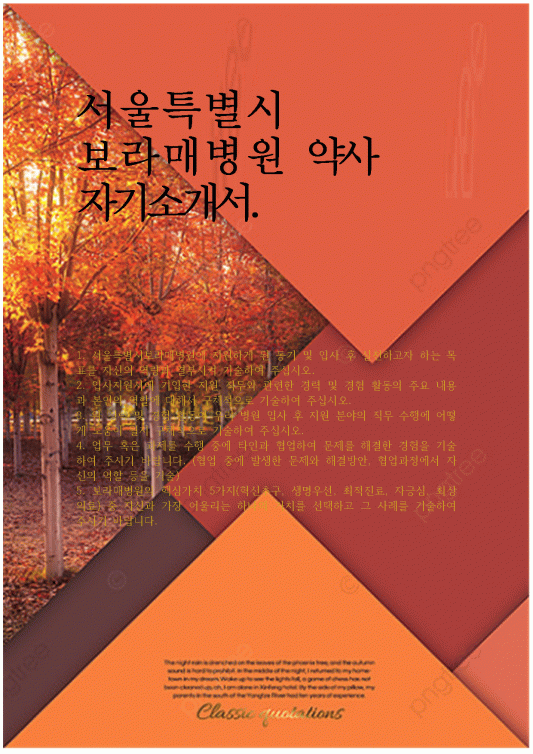 서울특별시 보라매병원 약사 자기소개서