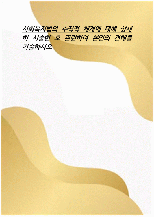 사회복지법의 수직적 체계에 대해 상세히 서술한 후 관련하여 본인의 견해를 기술하시오