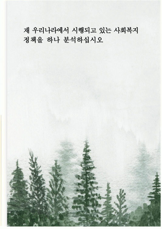현재 우리나라에서 시행되고 있는 사회복지 정책을 하나 분석하십시오