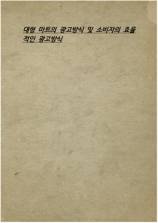 대형 마트의 광고방식 및 소비자의 효율적인 광고방식