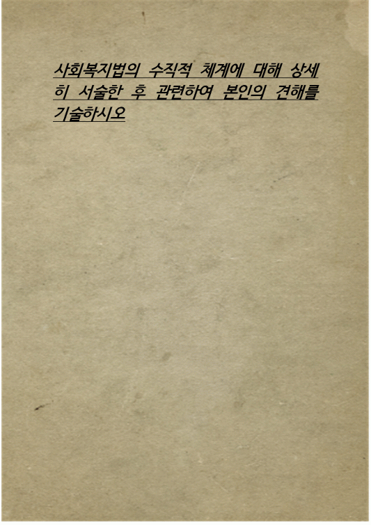 사회복지법의 수직적 체계에 대해 상세히 서술한 후 관련하여 본인의 견해를 기술하시오