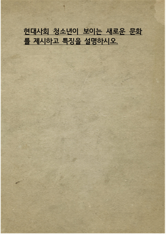 현대사회 청소년이 보이는 새로운 문화를 제시하고 특징을 설명하시오.