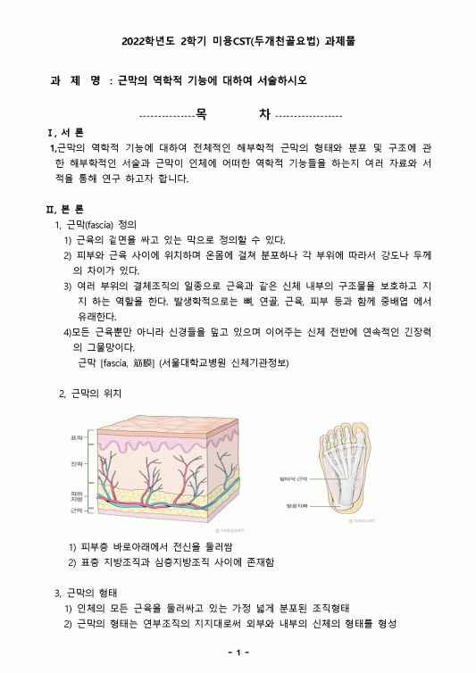 미용CST(두개천골요법) 리포트