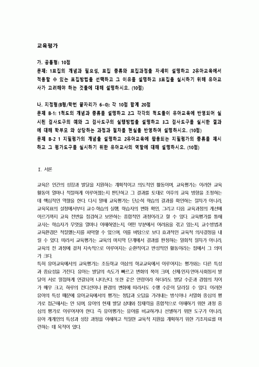 교육평가 지정형B형