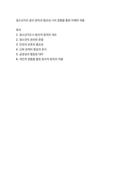 청소년지도 윤리 원칙과 필요성 나의 경험을 통한 이해와 적용