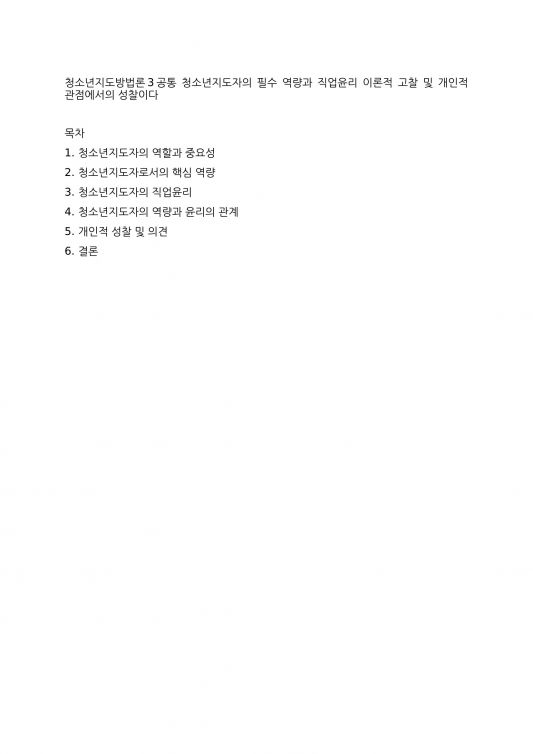 청소년지도방법론3공통 청소년지도자의 필수 역량과 직업윤리 이론적 고찰 및 개인적 관점에서의 성찰이다