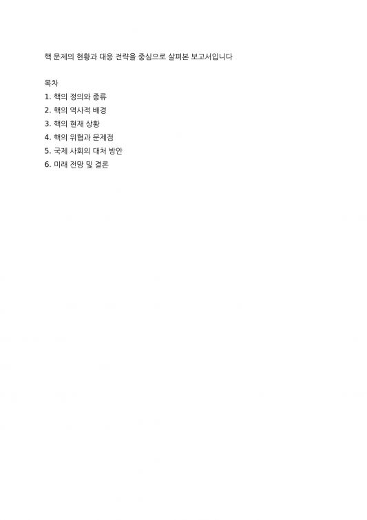 핵 문제의 현황과 대응 전략을 중심으로 살펴본 보고서입니다