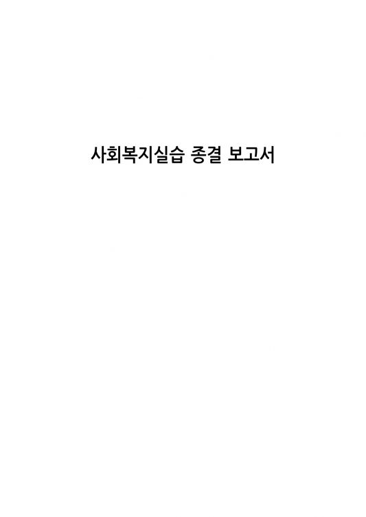사회복지실습 종결 보고서
