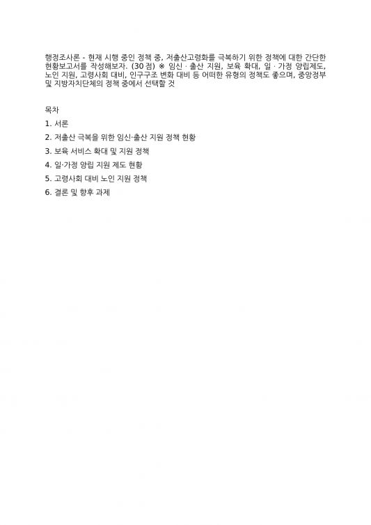 행정조사론  저출산고령사회 극복을 위한 중앙정부 및 지방자치단체 정책 현황 분석 및 평가