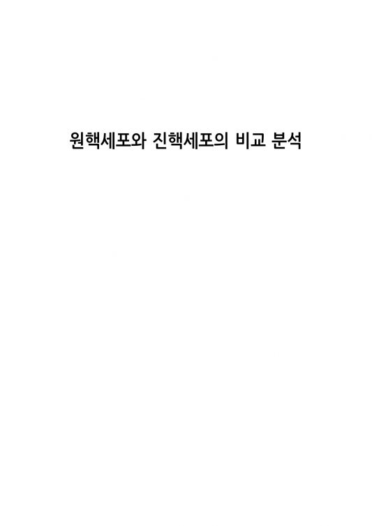 원핵세포와 진핵세포의 비교 분석