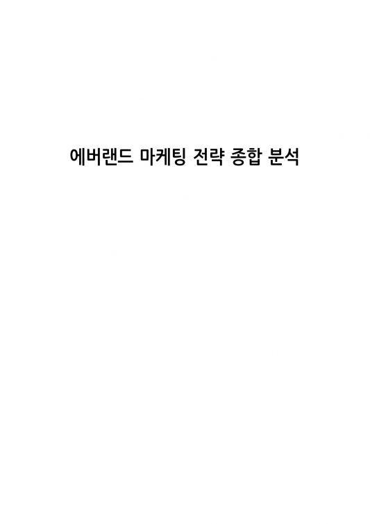 에버랜드 마케팅 전략 종합 분석