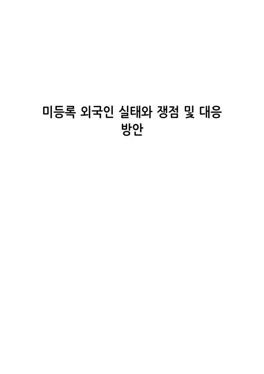 미등록 외국인 실태와 쟁점 및 대응 방안