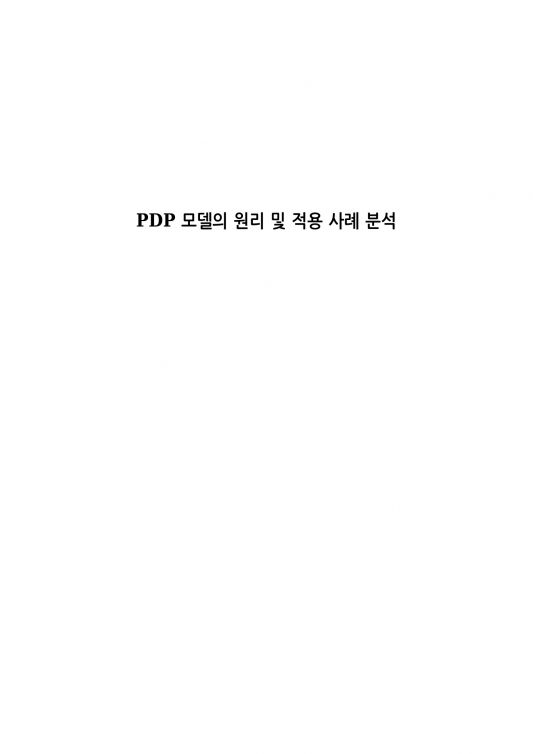 PDP 모델의 원리 및 적용 사례 분석