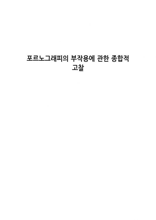 포르노그래피의 부작용에 관한 종합적 고찰