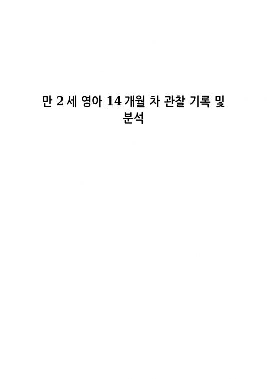 만 2세 영아 14개월 차 관찰 기록 및 분석