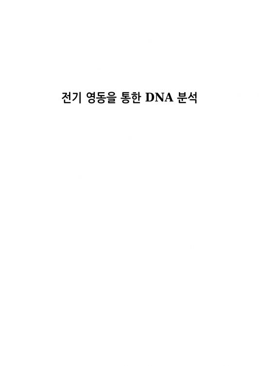 전기 영동을 통한 DNA 분석