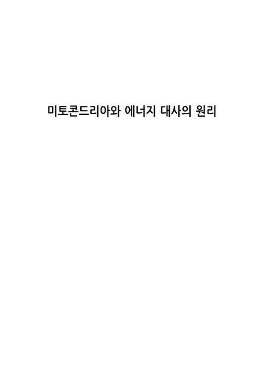 미토콘드리아와 에너지 대사의 원리