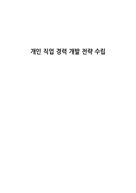 개인 직업 경력 개발 전략 수립