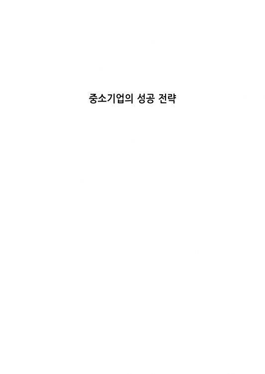 중소기업의 성공 전략