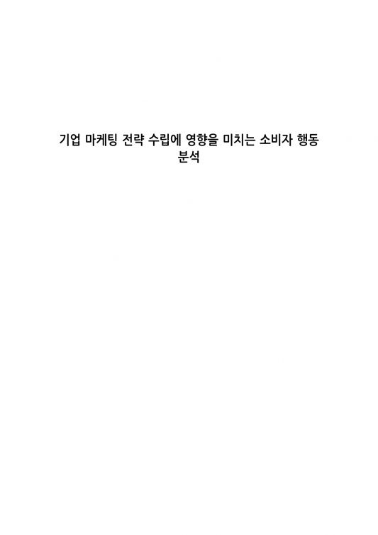 기업 마케팅 전략 수립에 영향을 미치는 소비자 행동 분석
