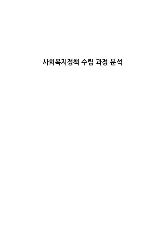 사회복지정책 수립 과정 분석